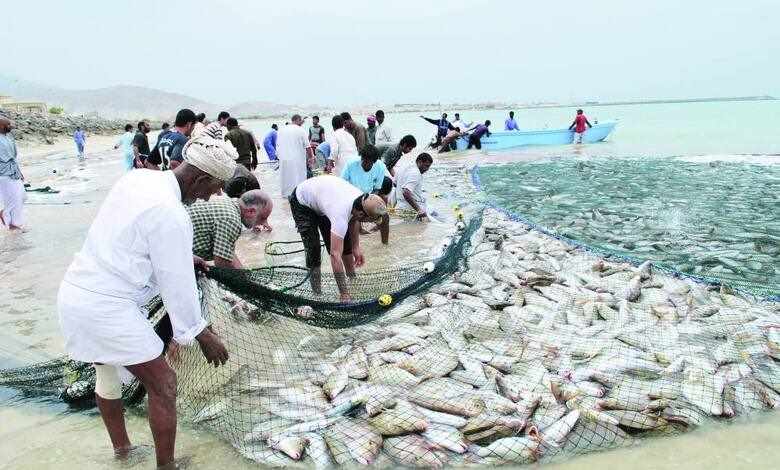سلطنة عُمان تطلق مشروع لجمع الإرث المعرفي بمهنة صيد الأسماك | هرمز نيوز
